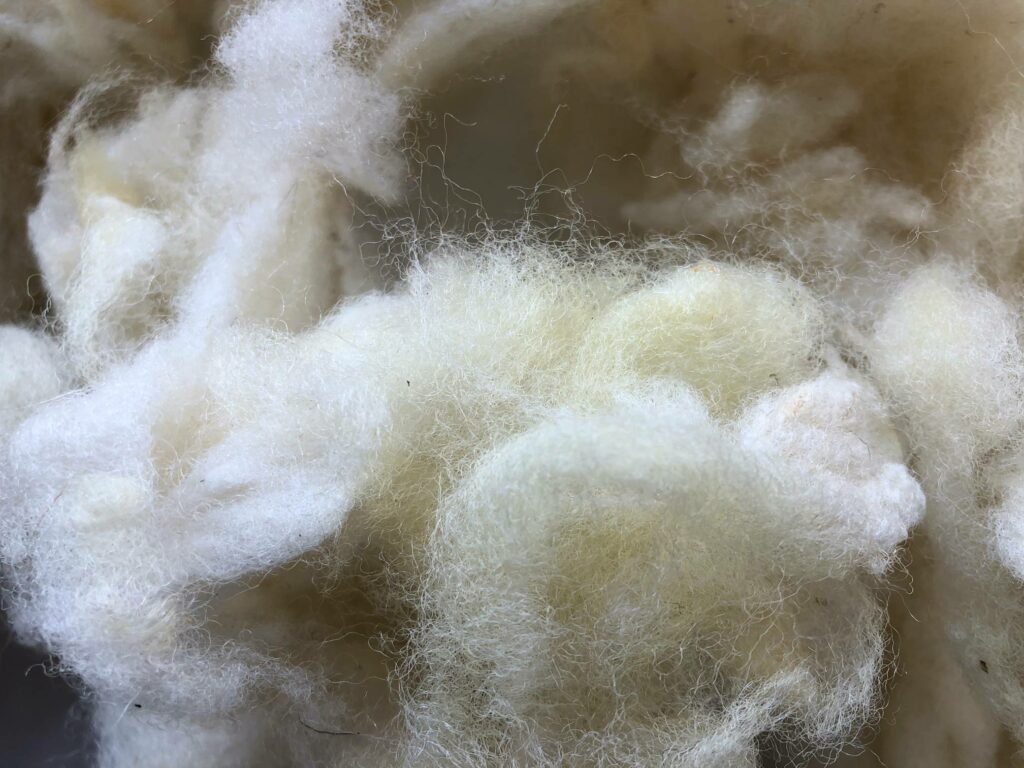 Les bienfaits de la Laine - Laine Vivante